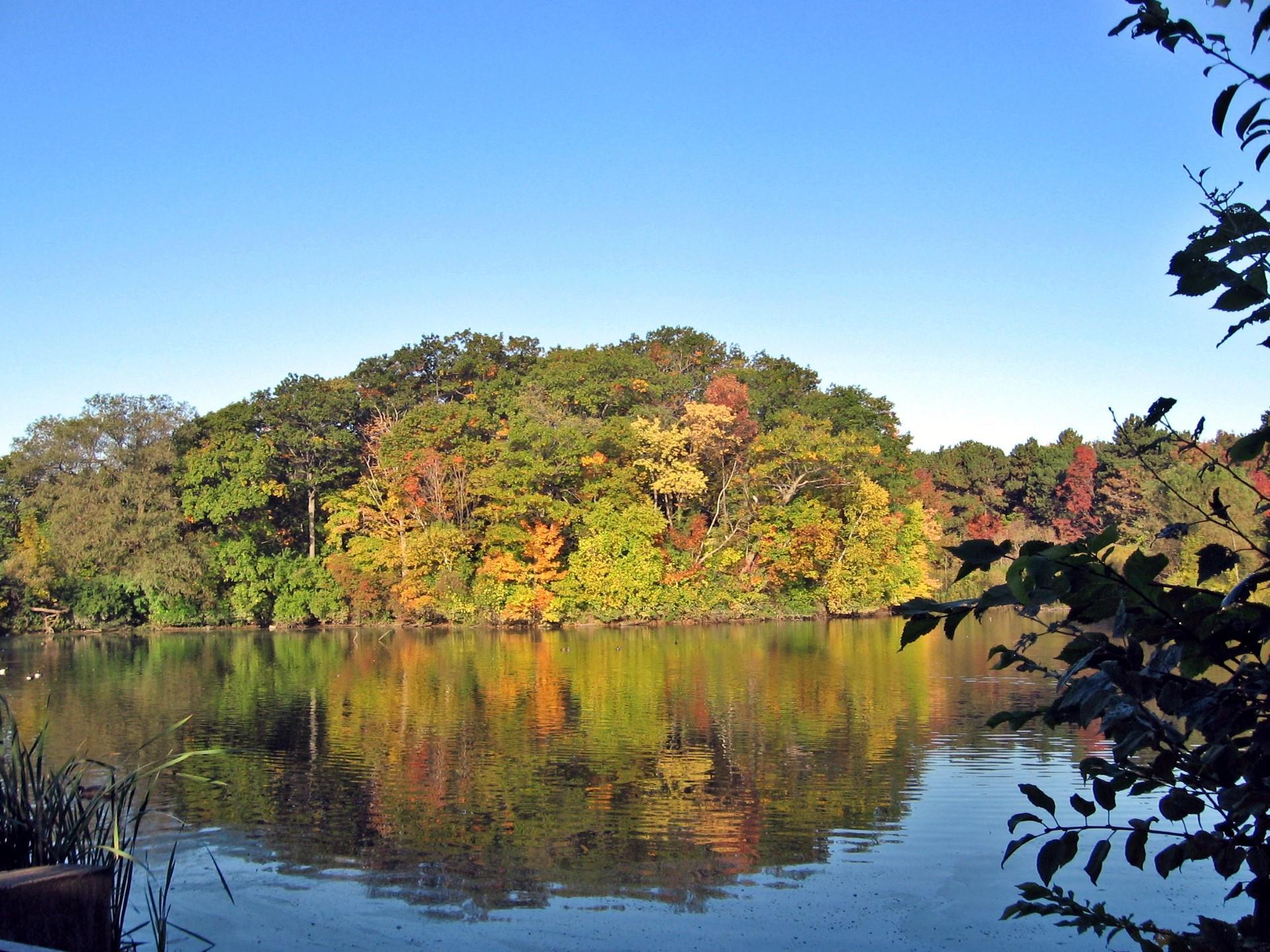 Grenadier Pond and Other Ponds in High Park - High Park Nature