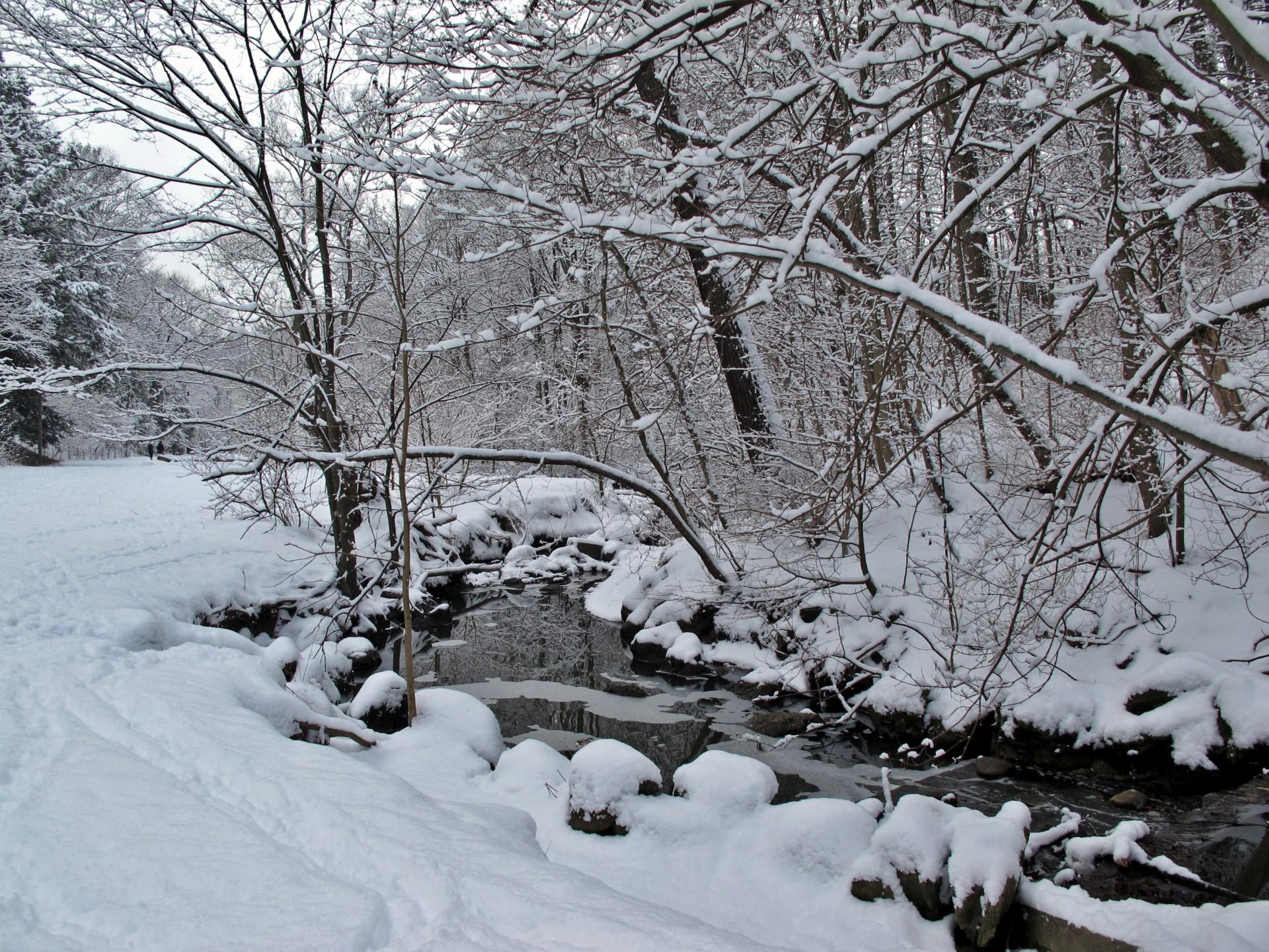 Laurentian River in High Park - High Park Nature