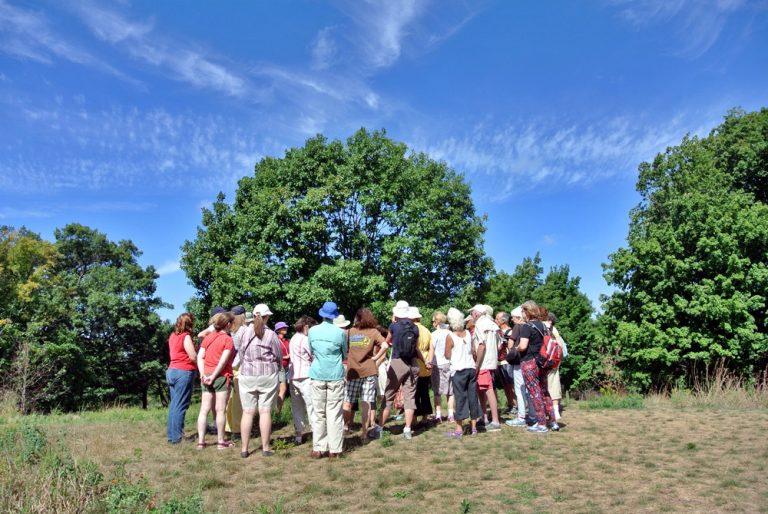 Explore Toronto's High Park - High Park Nature