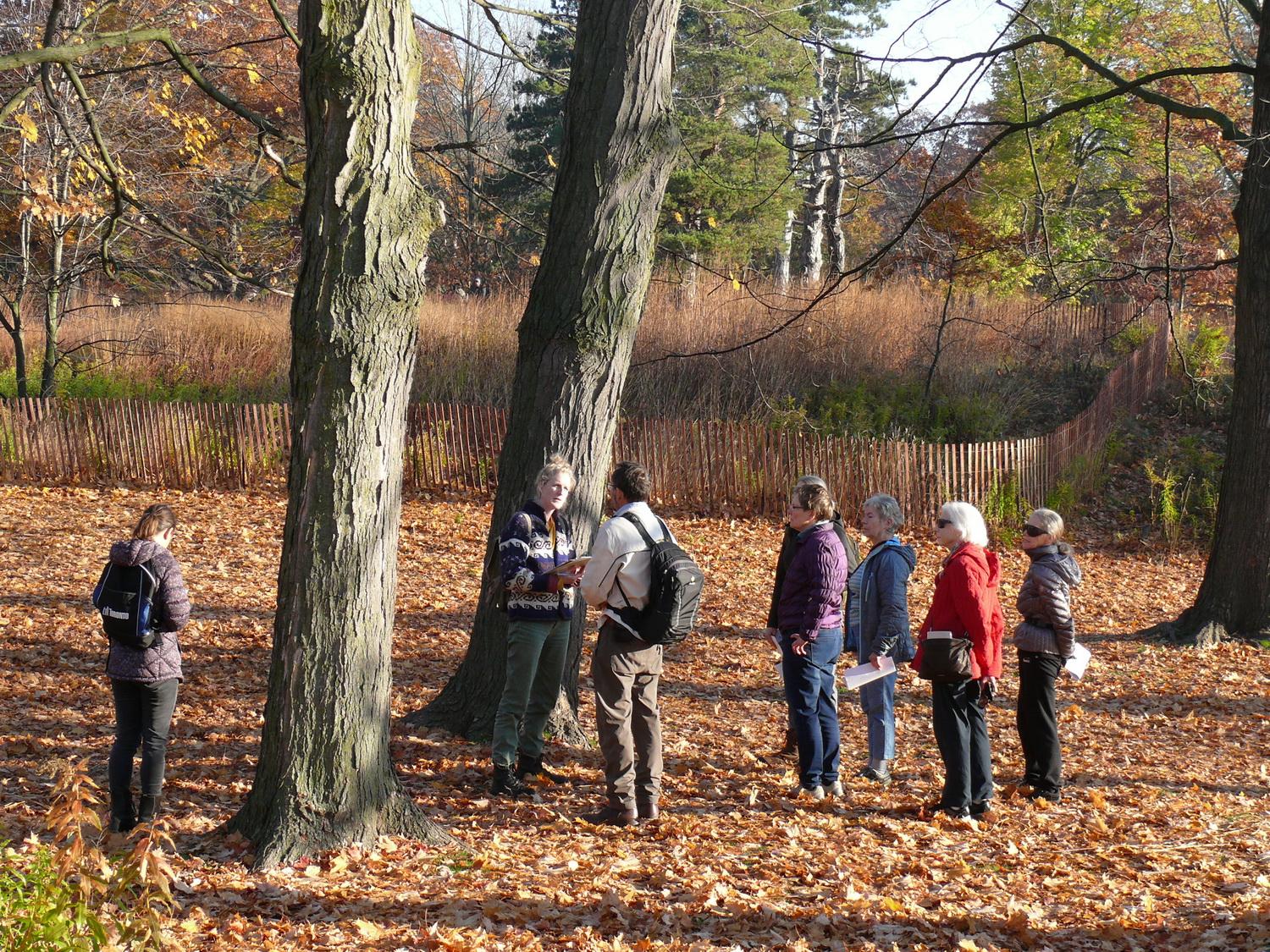 High Park Nature UPDATE - High Park Nature